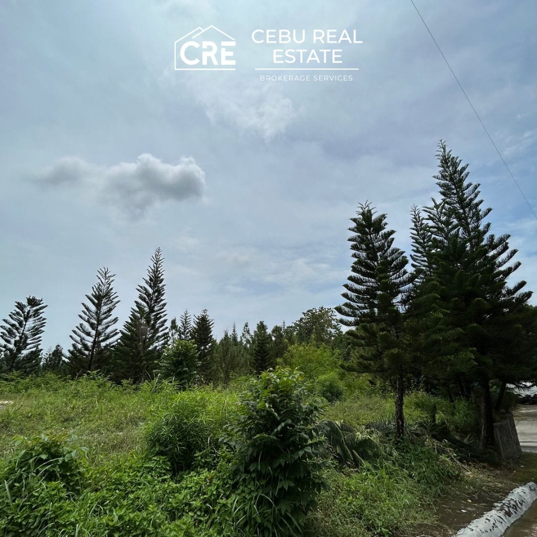 Riverdale Subdivision, Talamban Cebu City - 357 SQM — Cebu Real Estate ...