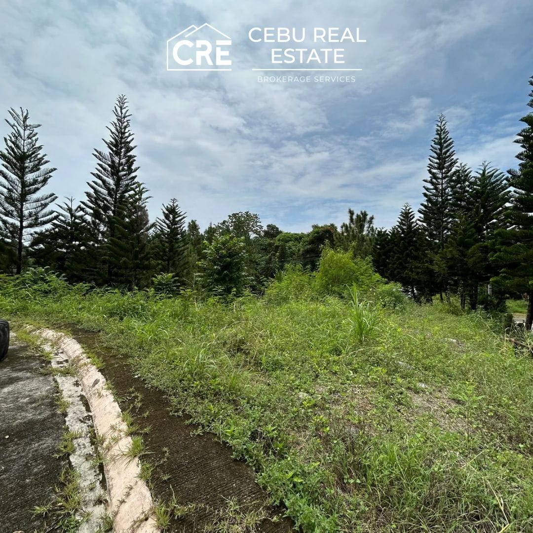 Riverdale Subdivision, Talamban Cebu City - 357 SQM — Cebu Real Estate ...